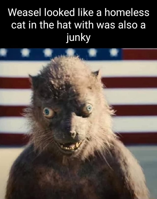 Weasel looked like a homeless cat in the hat with was also a junky - iFunny