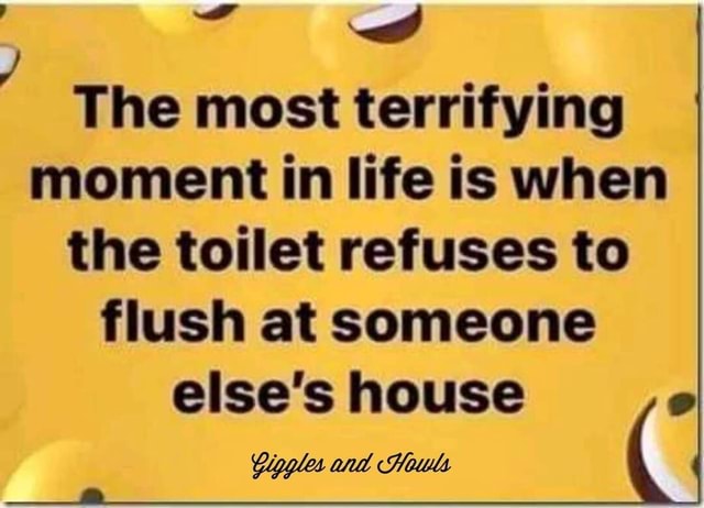 The most terrifying moment in life is when the toilet refuses to flush ...