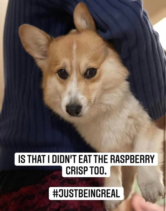 When some of the Ubereats things got missing... - IS THAT I DIDN'T EAT ...