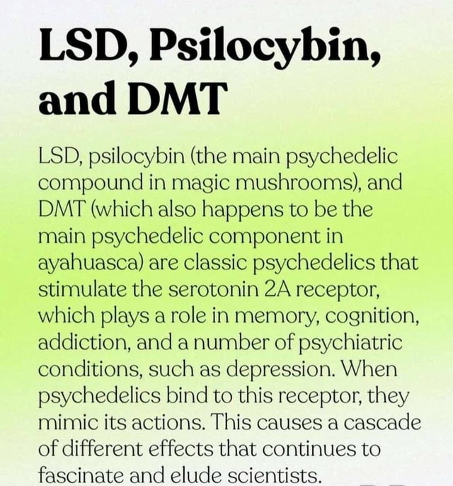 LSD, Psilocybin, and DMT LSD, psilocybin (the main psychedelic compound ...