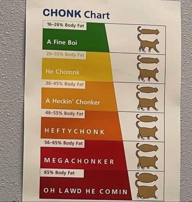 CHONK Chart 16-26% Body Fat A Fine Boi 26-35% Body Fat He Chomnk 36-45% ...