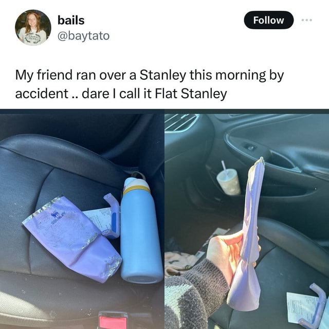 RIP Stanley. He would have loved the office. 🥗 @baytato Follow ...