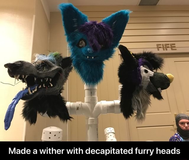 Made a wither with decapitated furry heads - Made a wither with ...