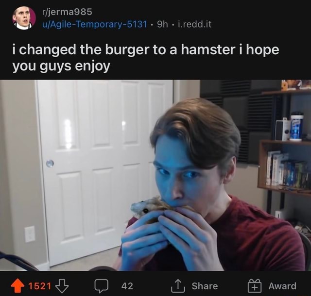 I changed the burger to a hamster hope you guys enjoy I L > I RY 1521 ...