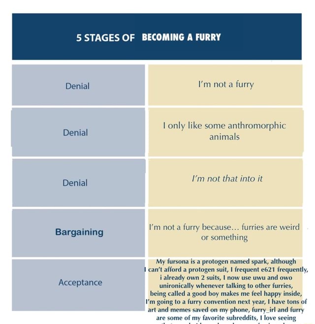 5 STAGES OF BECOMING A FURRY Denial I'm not a furry I only like some ...