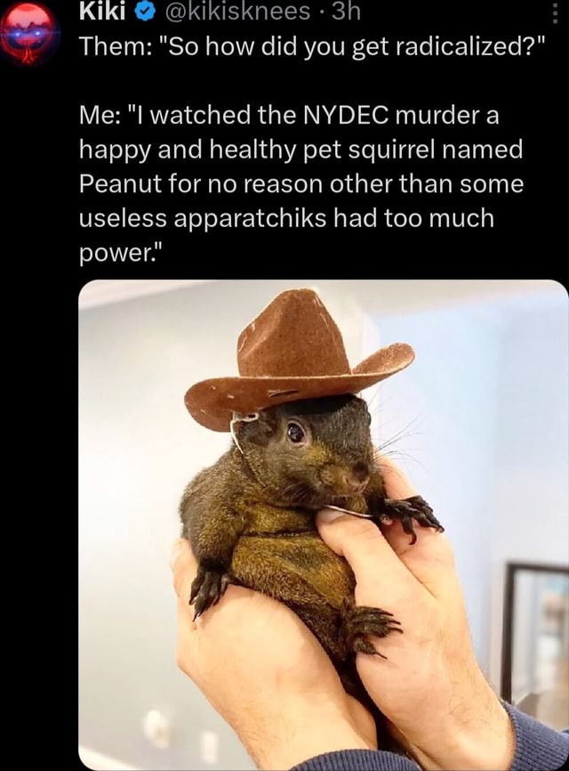 Kiki @kikisknees Them: "So how did you get radicalized?" Me: "I watched ...