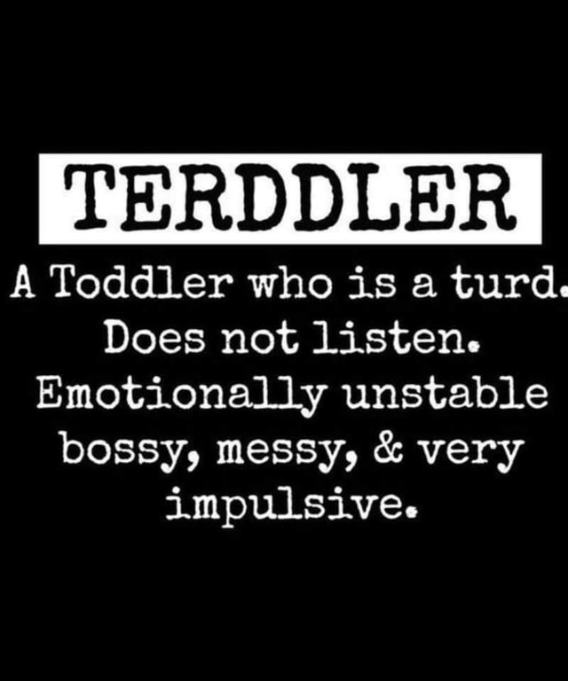 TERDDLER A Toddler who is a turd. Does not listen. Emotionally unstable ...