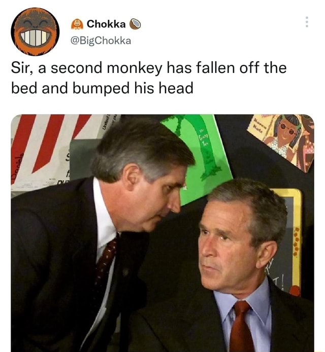 Sir, a second monkey has fallen off the bed and bumped his head - iFunny