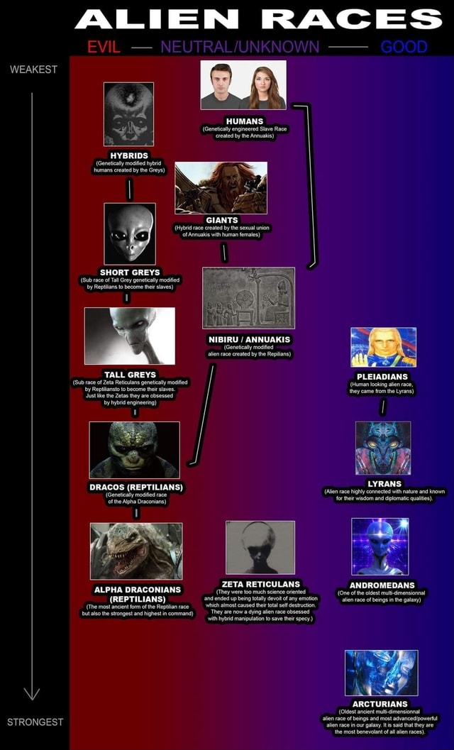 WEAKEST STRONGEST ALIEN RACES HYBRIDS (Genetically modified hybrid ...