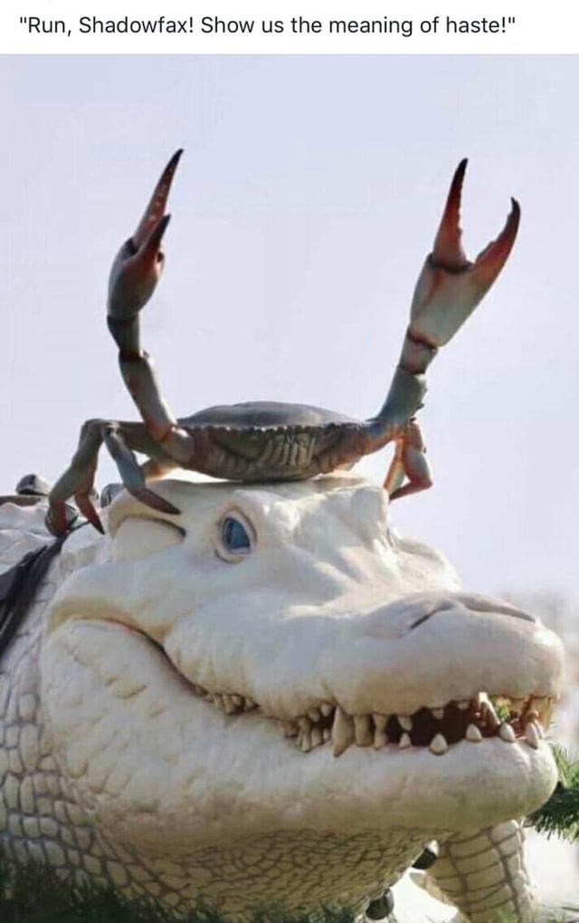 "Run, Shadowfax! Show us the meaning of haste!" - iFunny