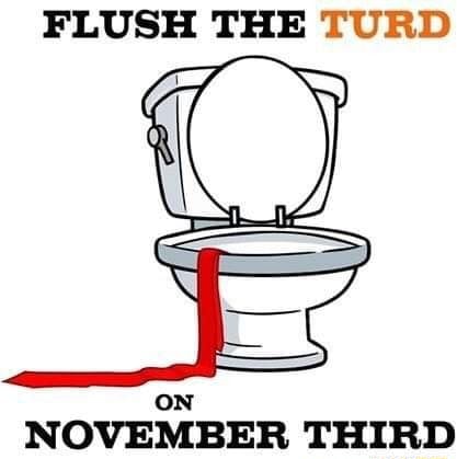 FLUSH THE TURD ON NOVEMBER THIRD - iFunny