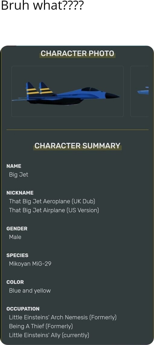 Bruln winat???? CHARACTER PHOTO CHARACTER SUMMARY NAME Big Jet NICKNAME ...