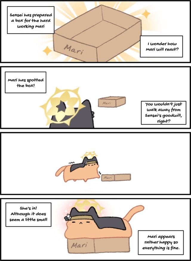 Sensei has prepared @ box for the hard Working Mari mari has spotted ...