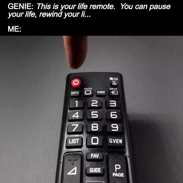 GENIE: This is your life remote. You can pause your life, rewind your ...
