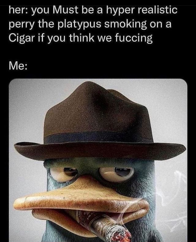 Her: you Must be a hyper realistic perry the platypus smoking on Cigar ...