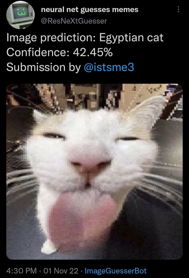 Neural net guesses memes @ResNeXtGuesser Image prediction: Egyptian cat Confidence: 42.45% ...