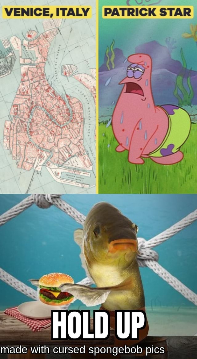 VENICE, ITALY PATRICK STAR HOLD UP made with cursed spongebob pics - iFunny