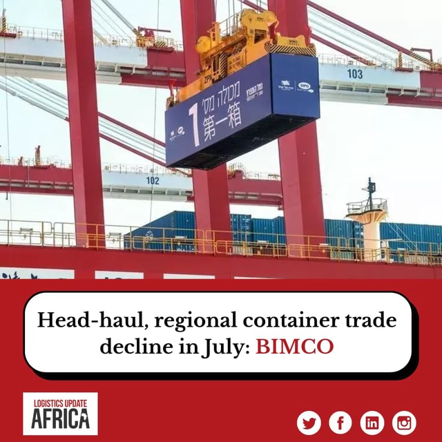 Head-haul, regional container trade decline in July: BIMCO - Head-haul ...