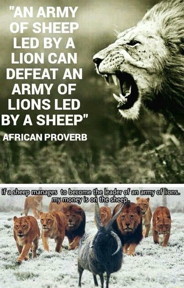 "AN ARMY OF SHEEP LEDBYA LION GAN DEFEAT AN ARMY OF LIONS LED BY A ...
