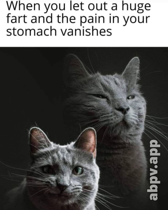 When you let out a huge fart and the pain in your Stomach vanishes abpv ...