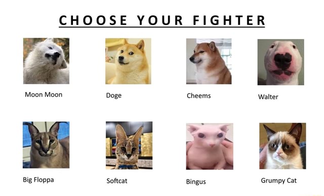 CHOOSE YOUR FIGHTER 25 AB Moon Moon Doge Cheems Walter Big Floppa ...