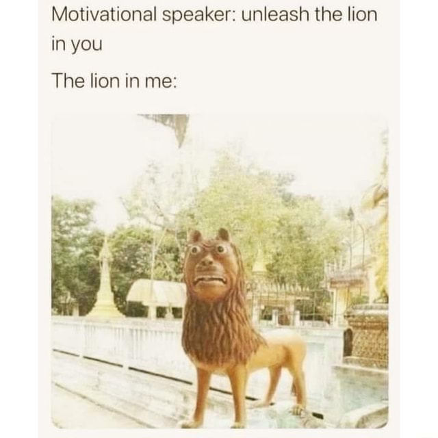 Motivational speaker: unleash the lion in you The lion in me: - iFunny