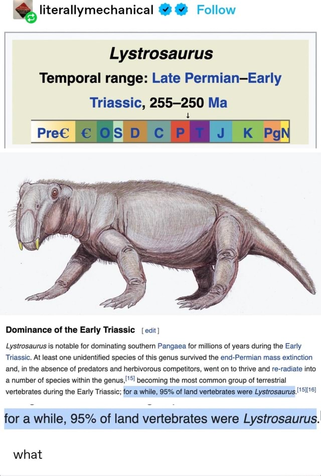 Literallymechanical @ Follow Lystrosaurus Temporal range: Late Permian ...