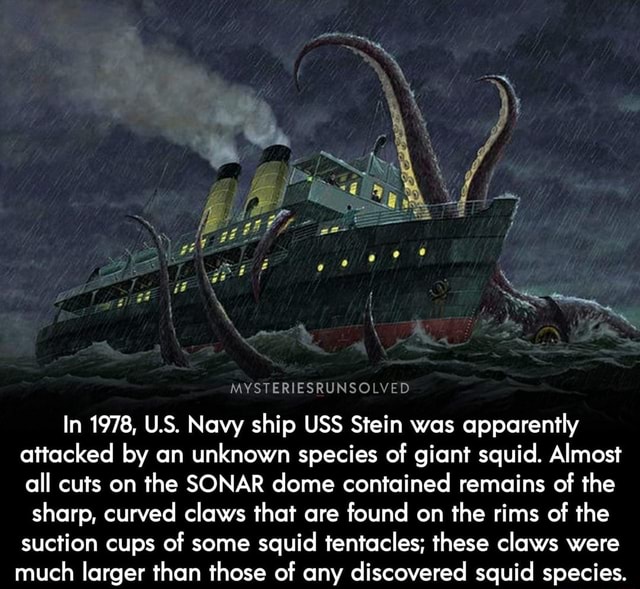 MYSTERIESRUNSOLVED In 1978, U.S. Navy ship USS Stein was apparently ...