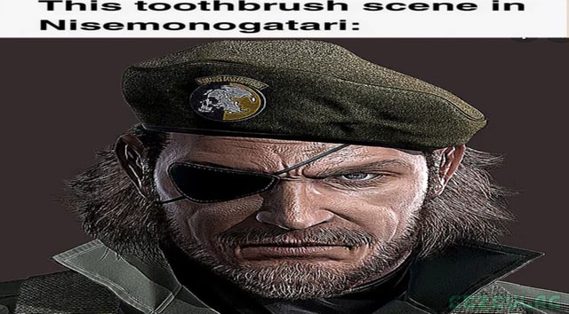SS toot rus Nisermmonogatar - iFunny