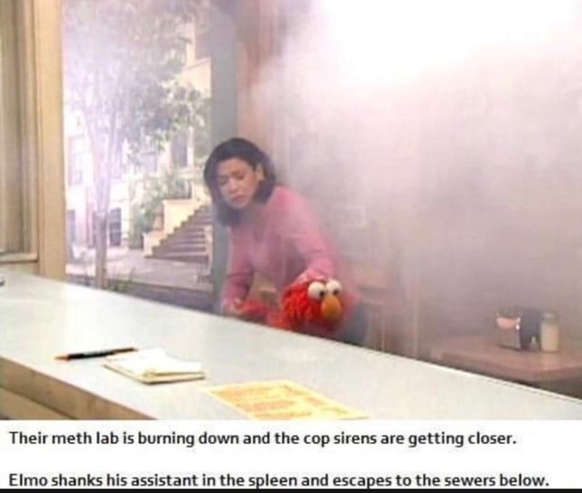 Their meth lab is burning down and the cop sirens are getting closer ...