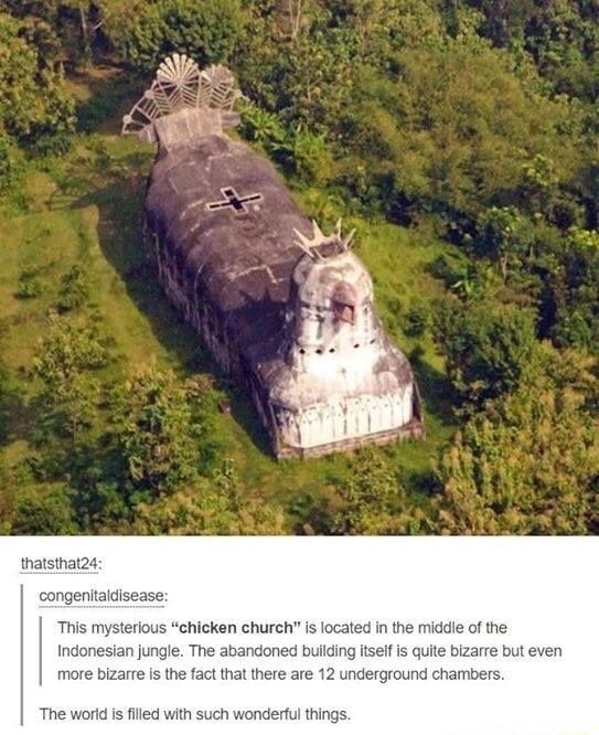 This mysterious "chicken church" is located in the middle of the ...