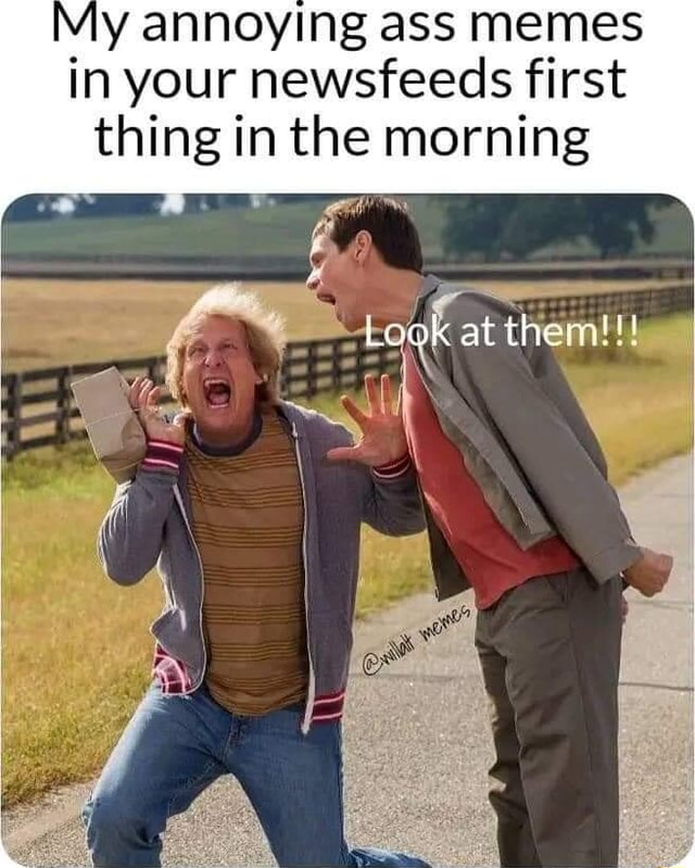 My annoying ass memes in your newsfeeds first thing in the morning Look ...