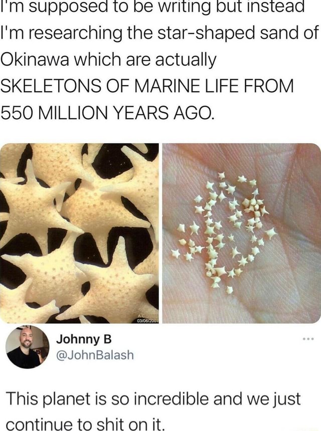 Supposed to be writing Out INStead I'm researching the star-shaped sand ...