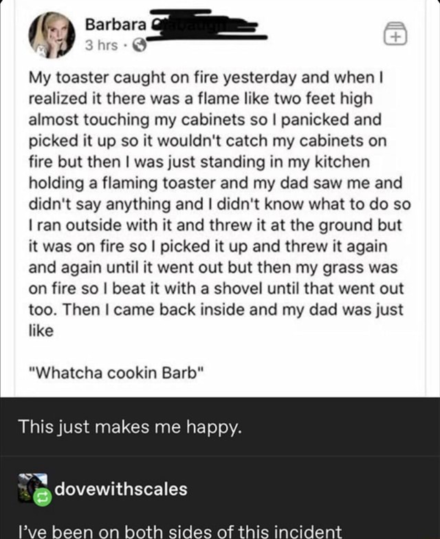 Barbara hes My toaster caught on fire yesterday and when I realized it ...