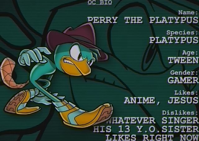 OC BIO Name: PERRY THE PLATYPUS Species: PLATYPUS Age: TWEEN Gender ...