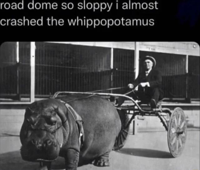 Road dome so sloppy almost crashed the whippopotamus I - iFunny