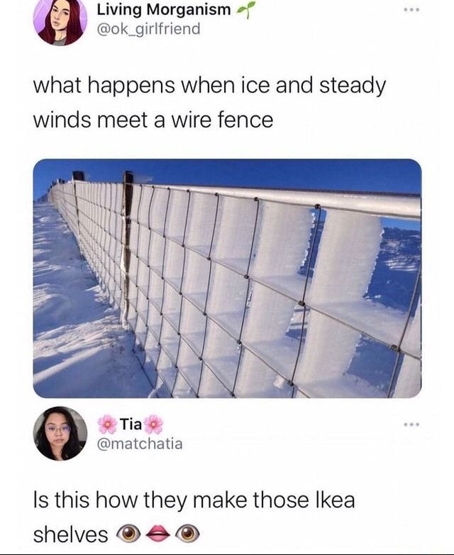 Living Morganism what happens when ice and steady winds meet a wire ...