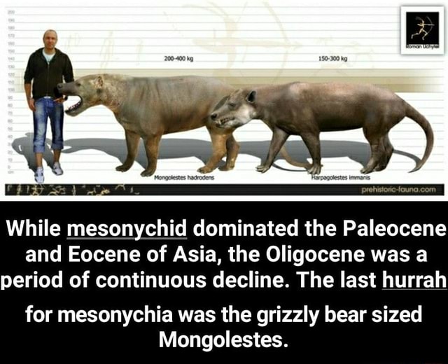 While mesonychid dominated the Paleocene and Eocene of Asia, the ...