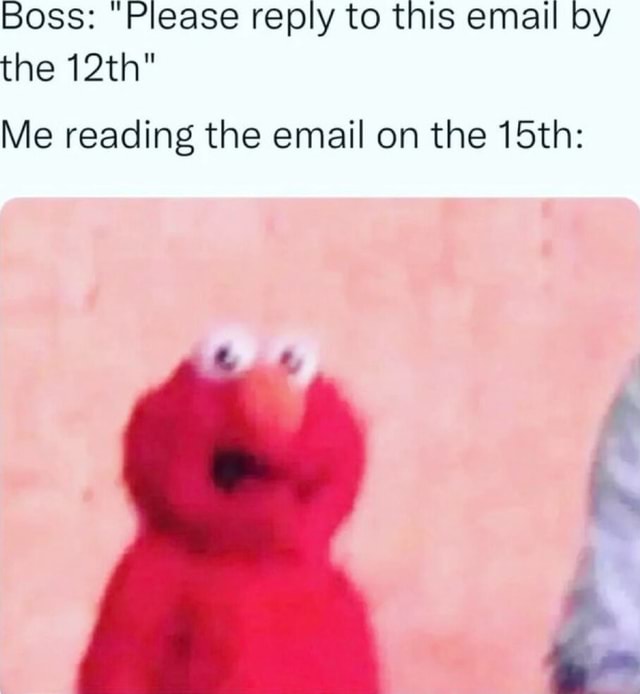 Boss: "Please reply to this email by the 12th" Me reading the email on ...