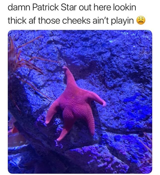Damn Patrick Star out here lookin thick af those cheeks ain't playin ...