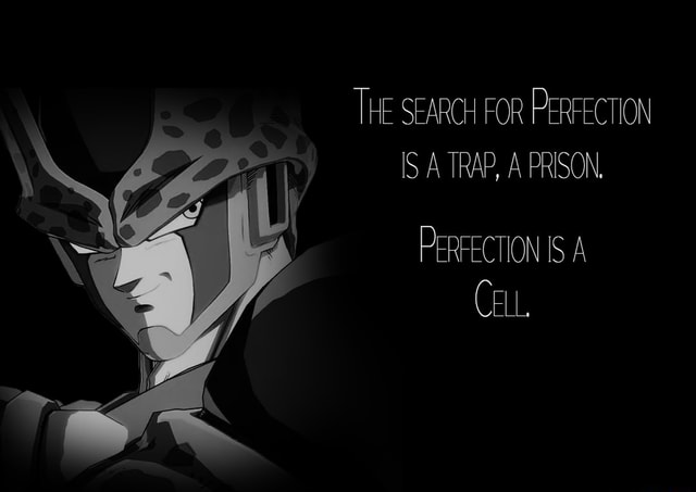 E SEARCH FOR PERFECTION IS A TRAP, A PRISON, PERFECTION IS A CELL - iFunny