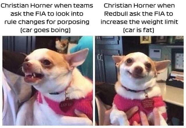 Christian Horner when teams Christian Horner when ask the FIA to look ...