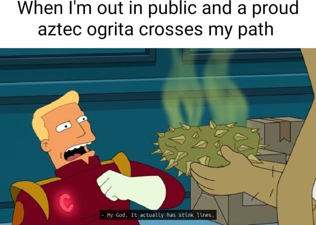 When I'm out in public and a proud aztec ogrita crosses my path ...