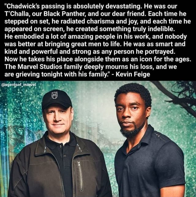 "Chadwick's passing is absolutely devastating. He was our T'Challa, our ...