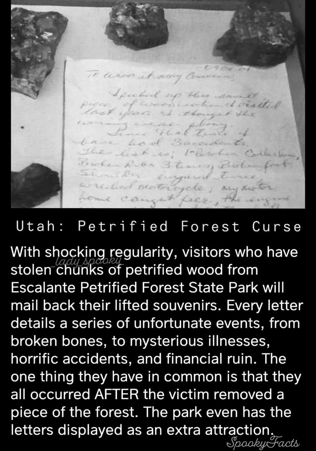 Utah: Petrified Forest Curse With shocking, regularity, visitors who ...