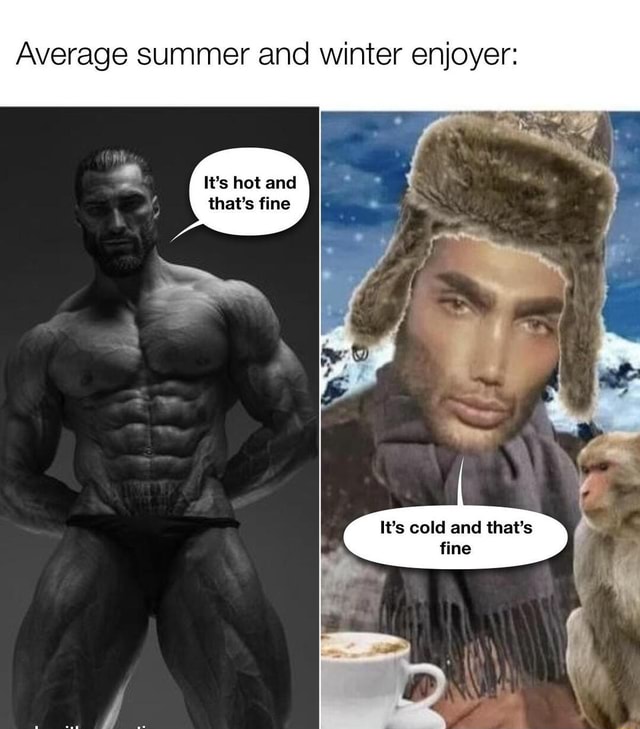 Average summer and winter enjoyer: It's hot and that's fine It's cold ...