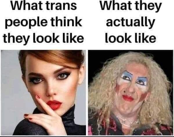 Whattrans Whatthey people think actually they look like look like - iFunny