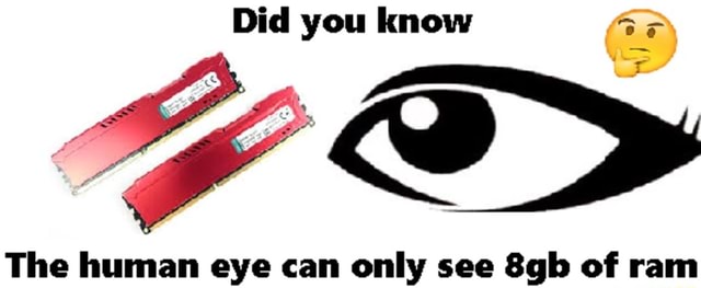 Did you know The human eye can only see of ram - iFunny