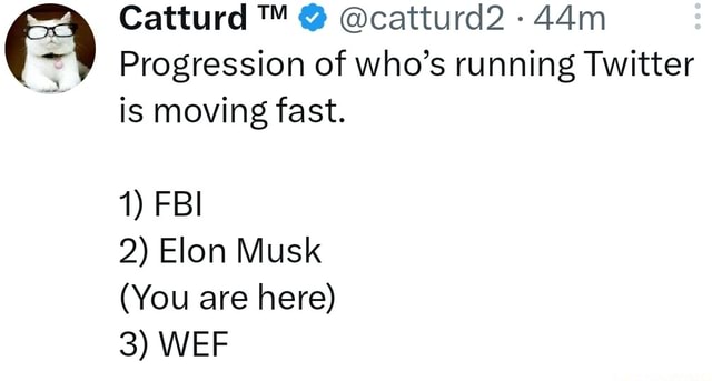 Catturd @ @catturd2 Progression of who's running Twitter is moving fast ...