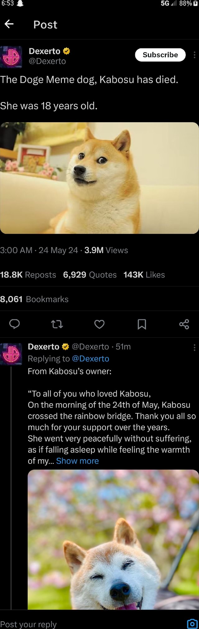 RIP Post Dexerto @Dexerio The Doge Meme dog, Kabosu has died. She was ...